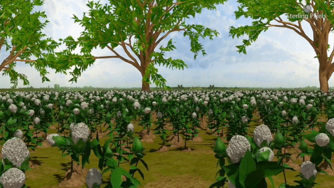 Materials, Objects and Everyday Structures | ClickView