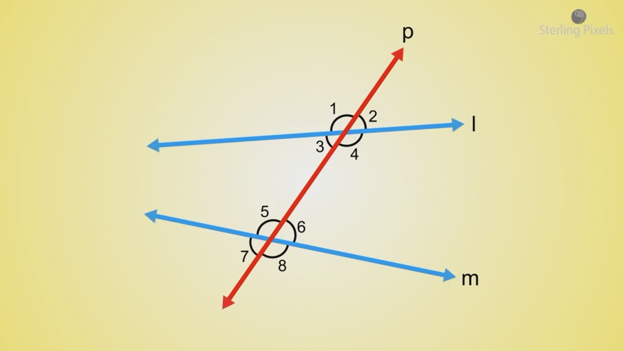 Angles Made by a Transversal Video & Resources | ClickView