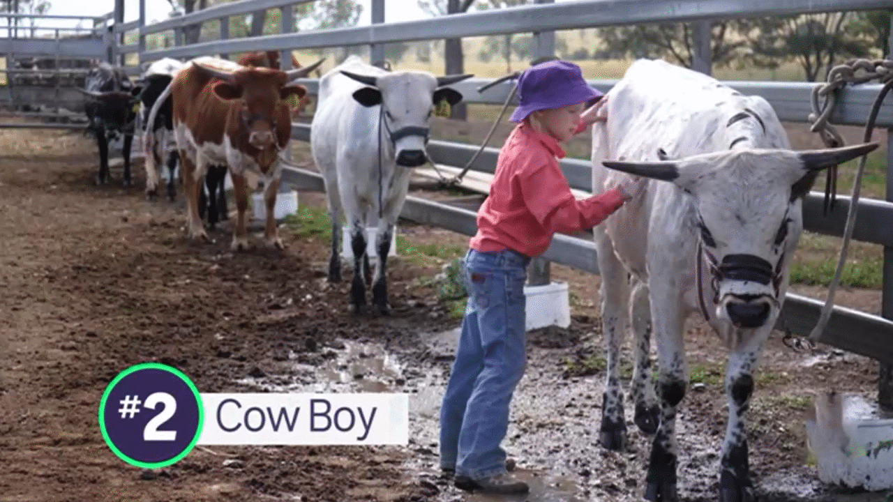 Cow Boy - Now, could this be Australia's youn... - ClickView