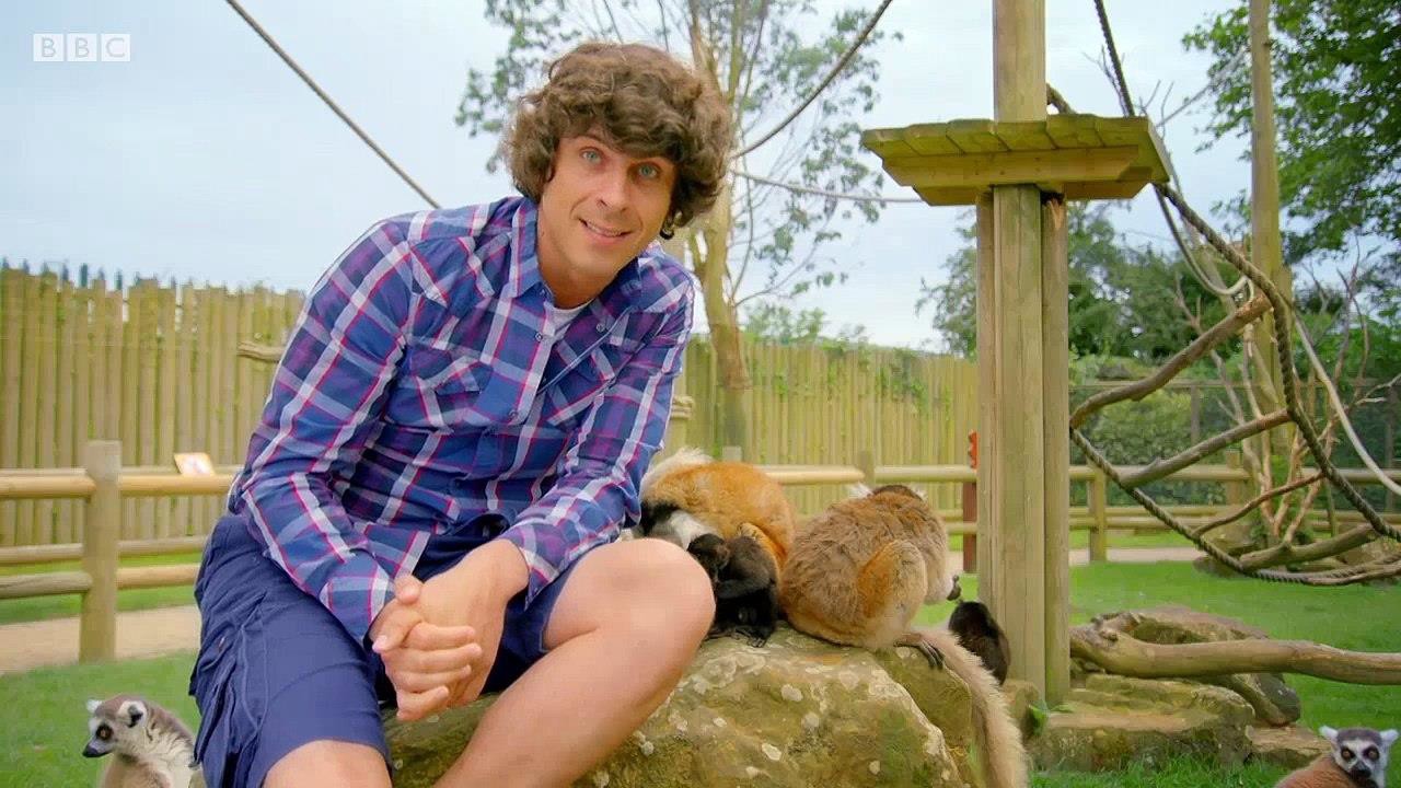 Andy’s Baby Animals - Airs 4:45 PM 23 Oct 2022 on CBeebies - ClickView