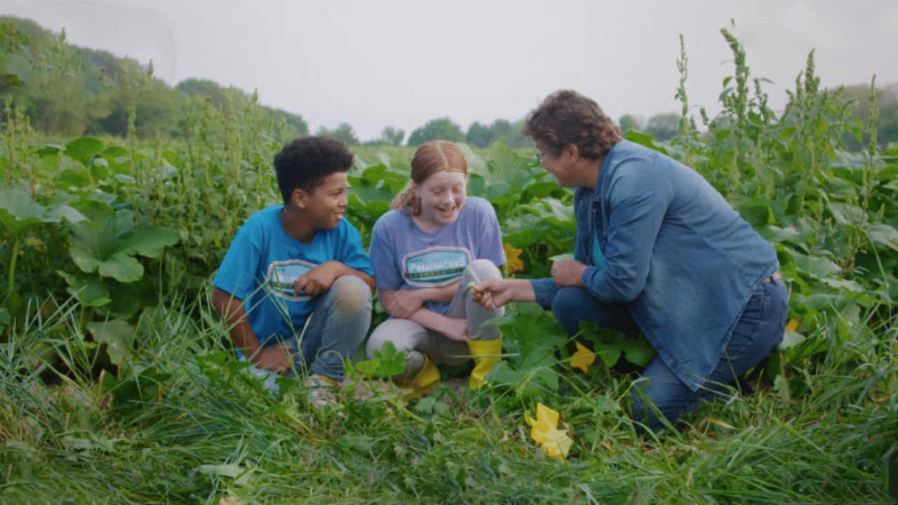 Leo’s Pollinators - Airs 10:46 AM 8 Nov 2022 on ABC ME - ClickView