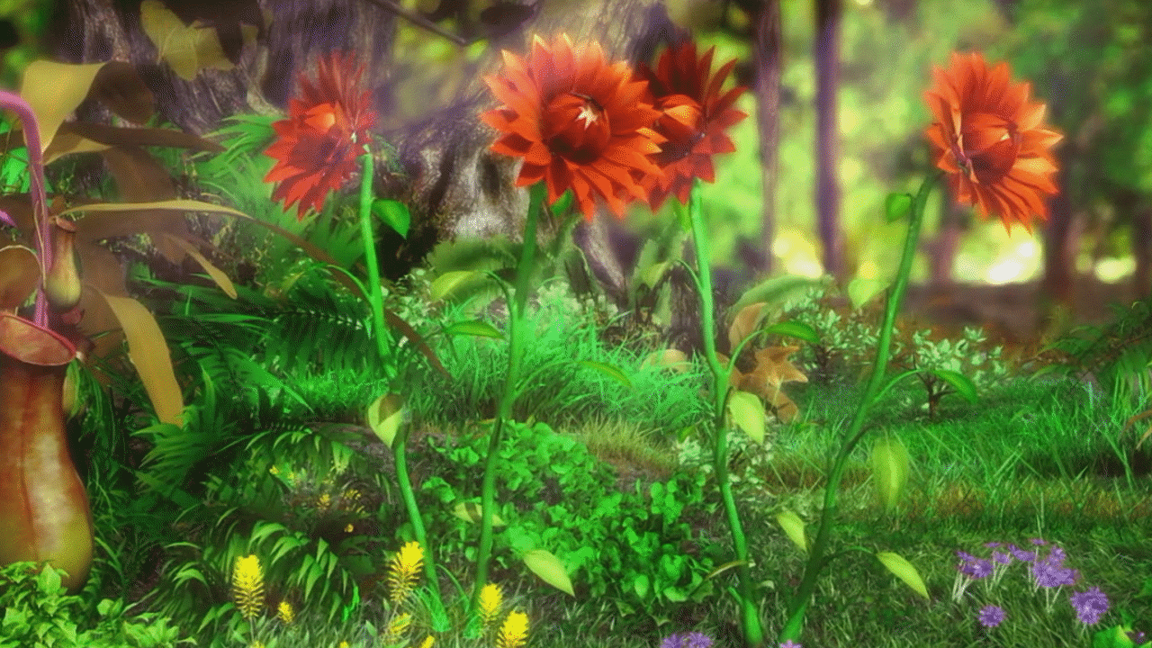 Getting to Know Plants Videos & Resources | ClickView