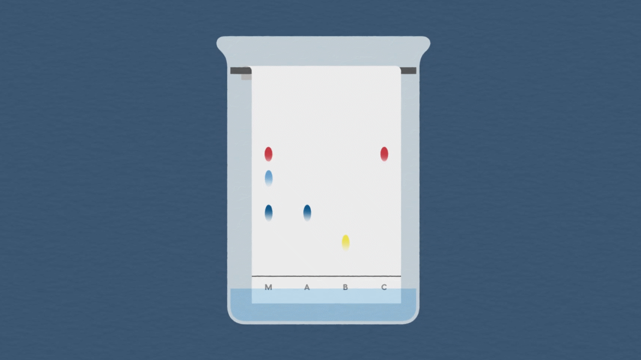 What Is Paper Chromatography? Video & Resources | ClickView