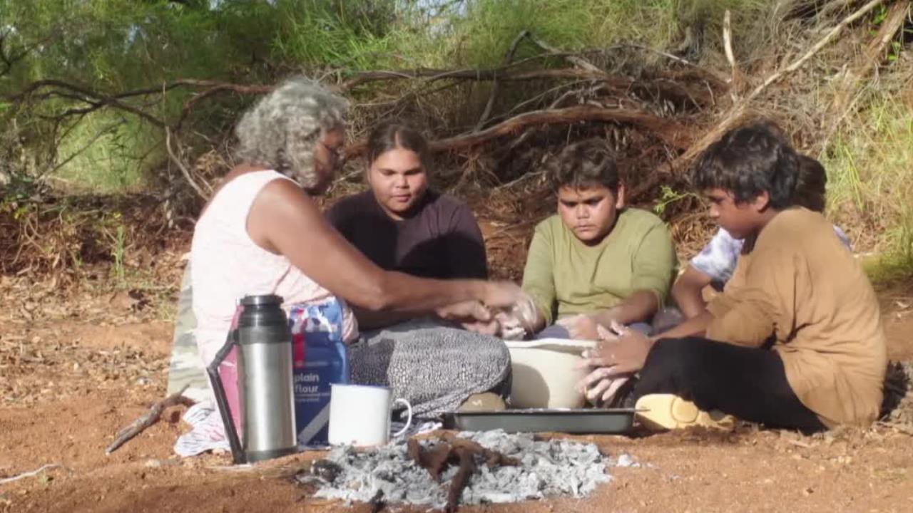 Harding Dam Video & Resources | ClickView