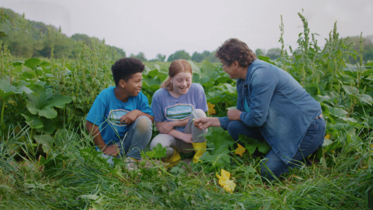 Leo’s Pollinators - Airs 10:42 AM 6 Feb 2023 on ABC ME - ClickView