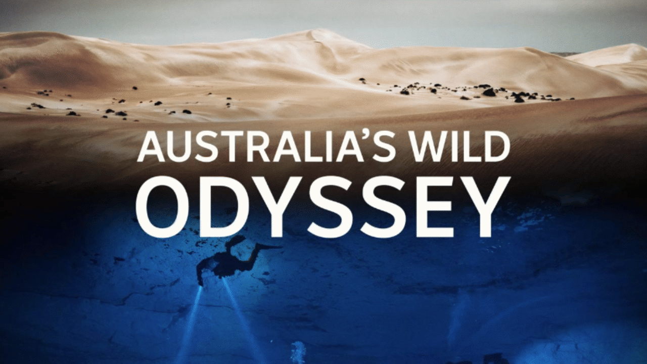 Australia’s Wild Odyssey - Airs 8:33 PM 7 Feb 2023 on ABCTV HD - ClickView