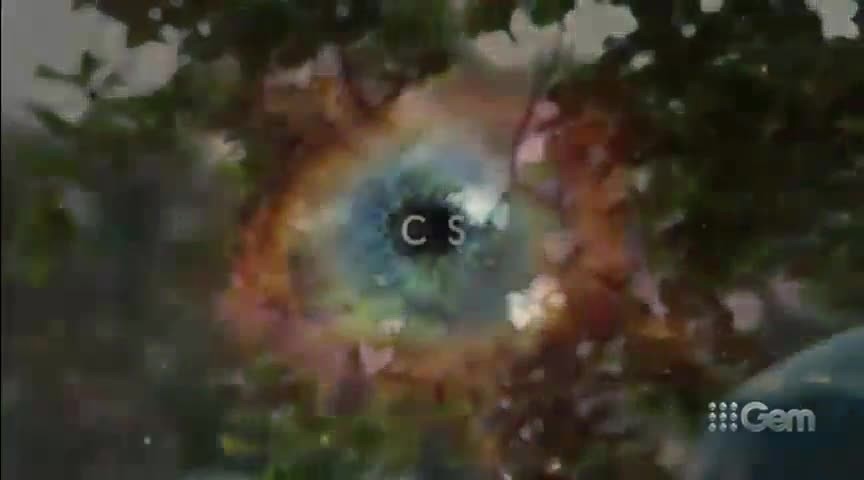 Hiding in the Light - This episode explores t... - ClickView