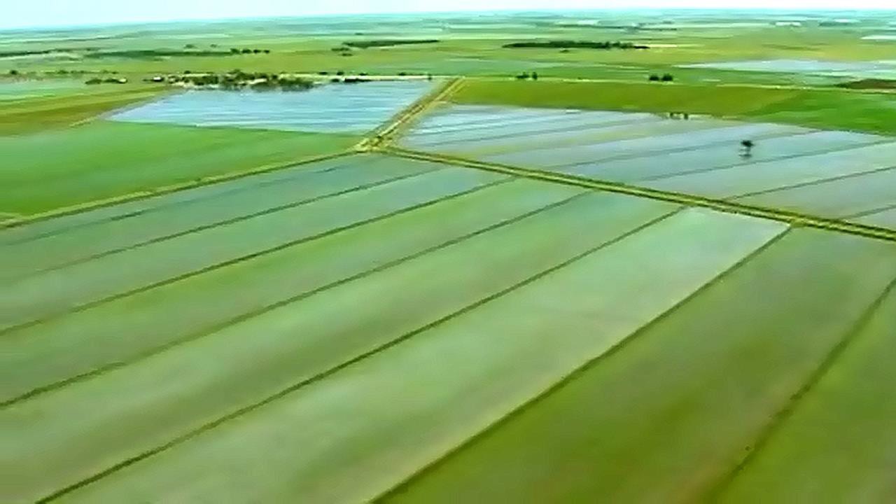 The Use of Irrigation in the Murray-Darling Basin | ClickView