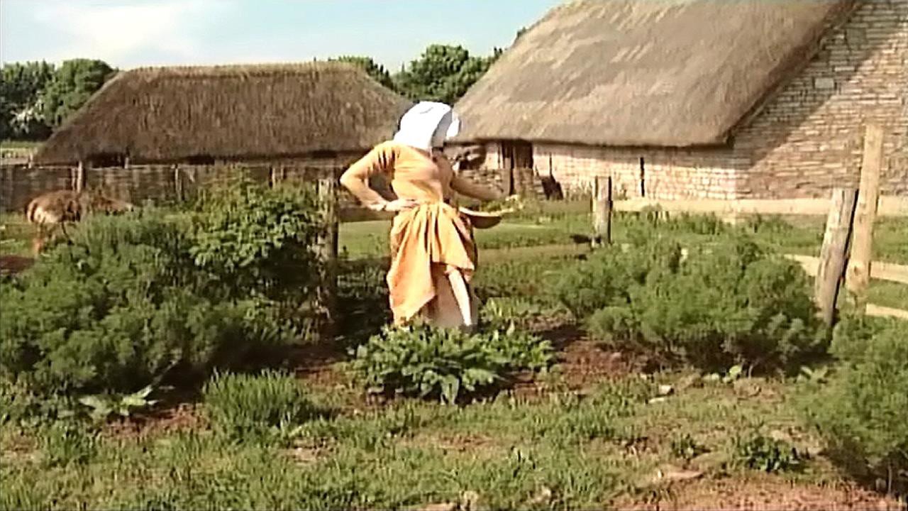 Life in Medieval Europe: Feudal System, Farming, Food and Home | ClickView