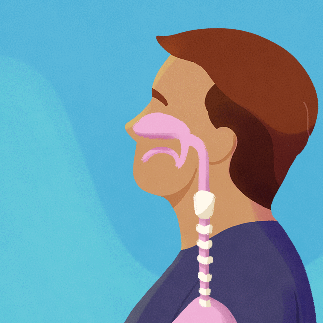 Respiration Videos, Resources & Worksheets | ClickView