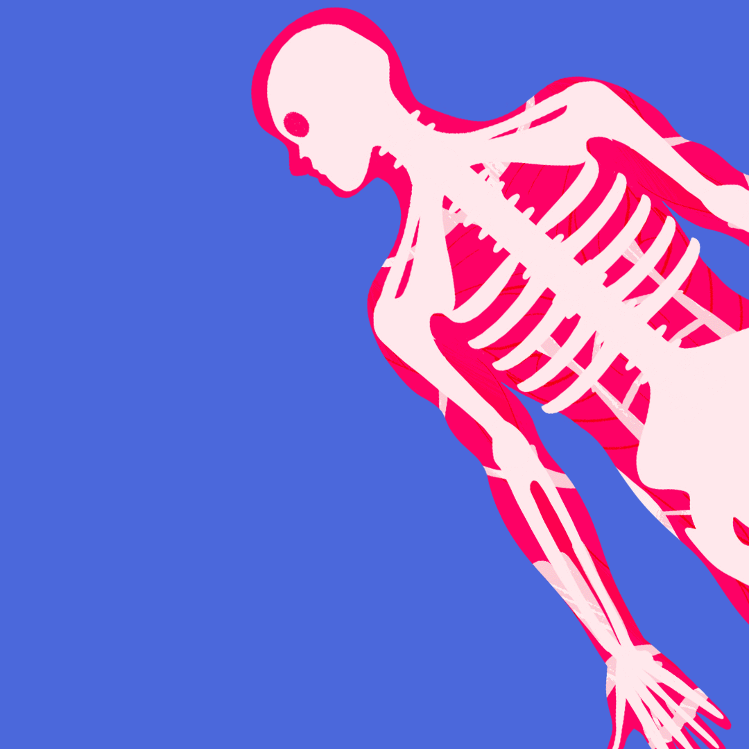 The Musculoskeletal System | ClickView