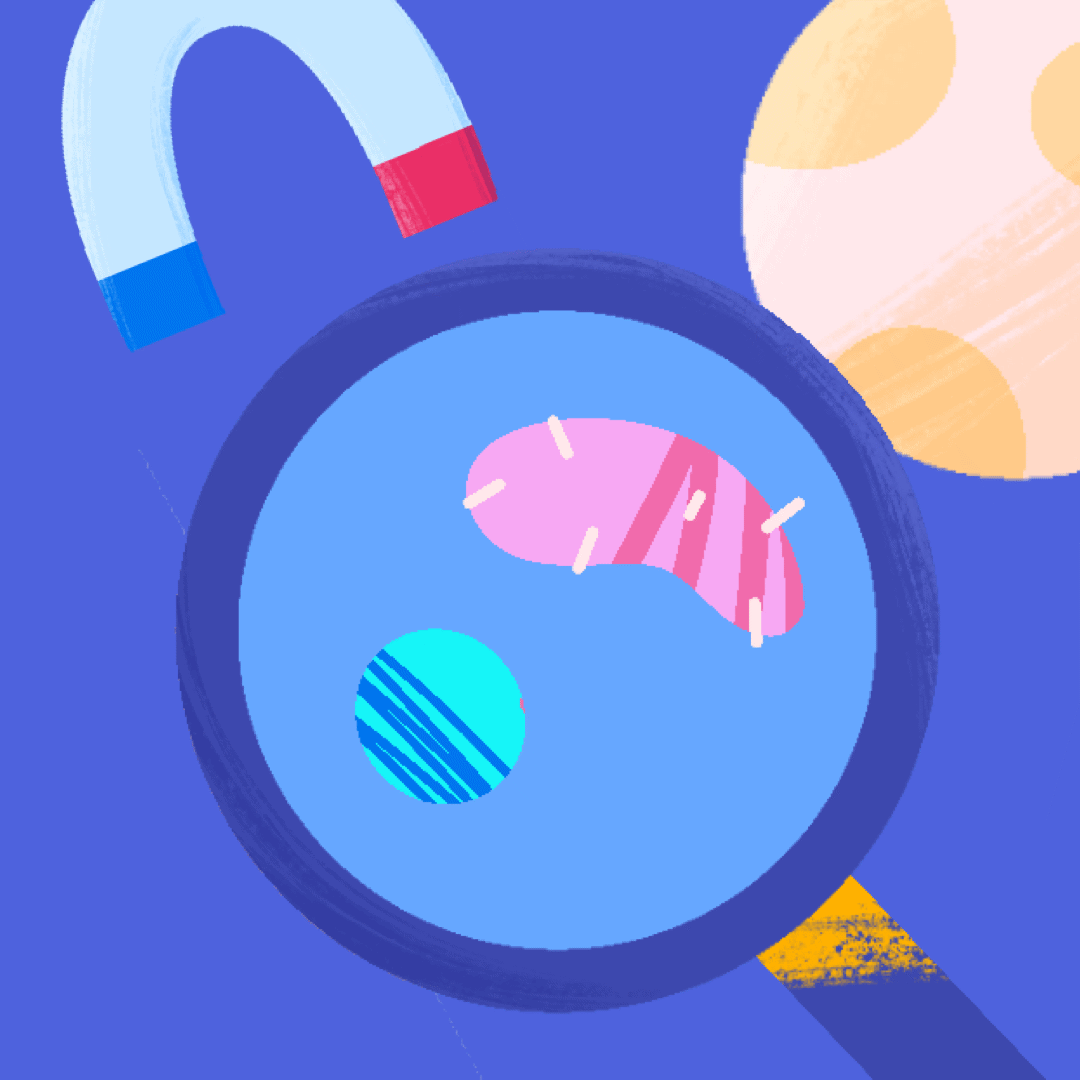 Explore Primary Subjects | ClickView | ClickView