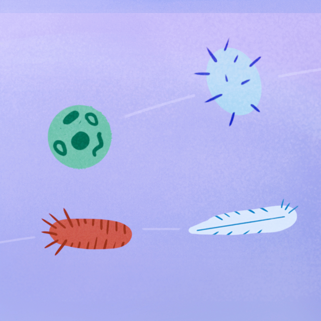 Biological Evolution | ClickView