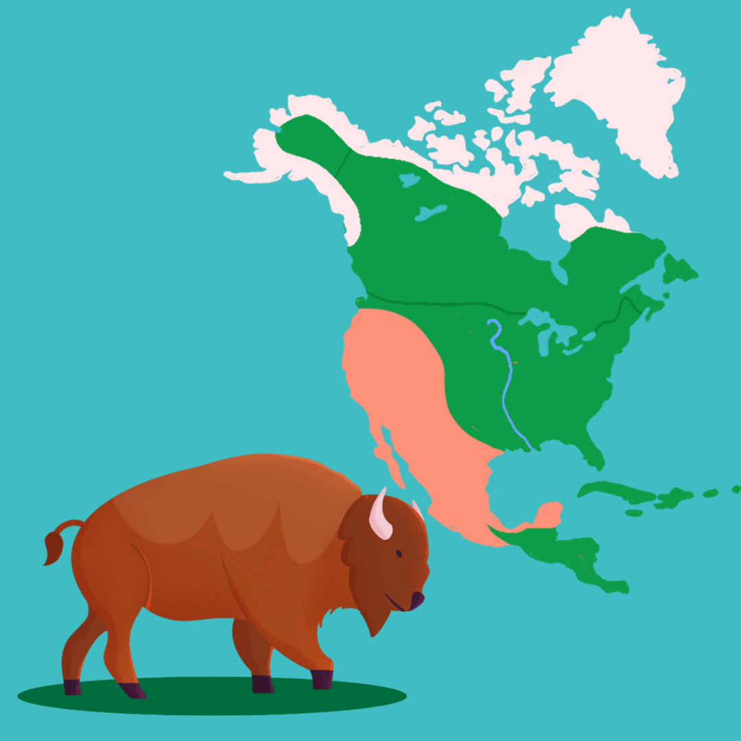 Natural Geography of North America | ClickView