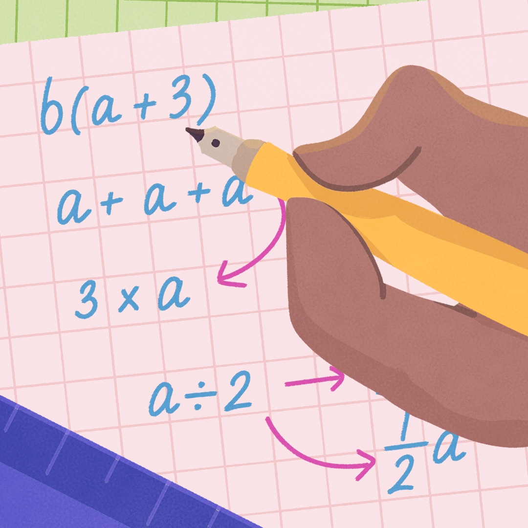 Algebraic Notation and Operations | ClickView