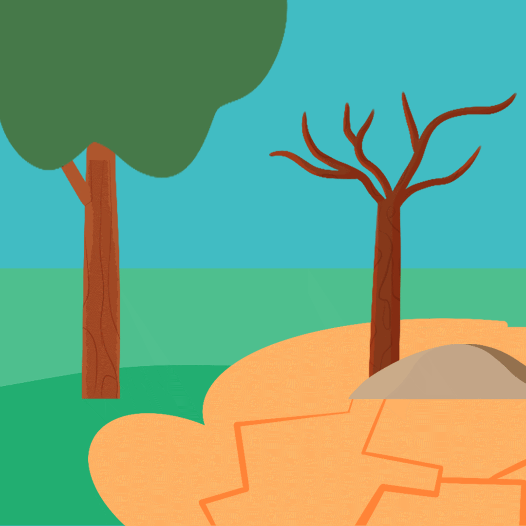 Australia's Natural Landscape | ClickView