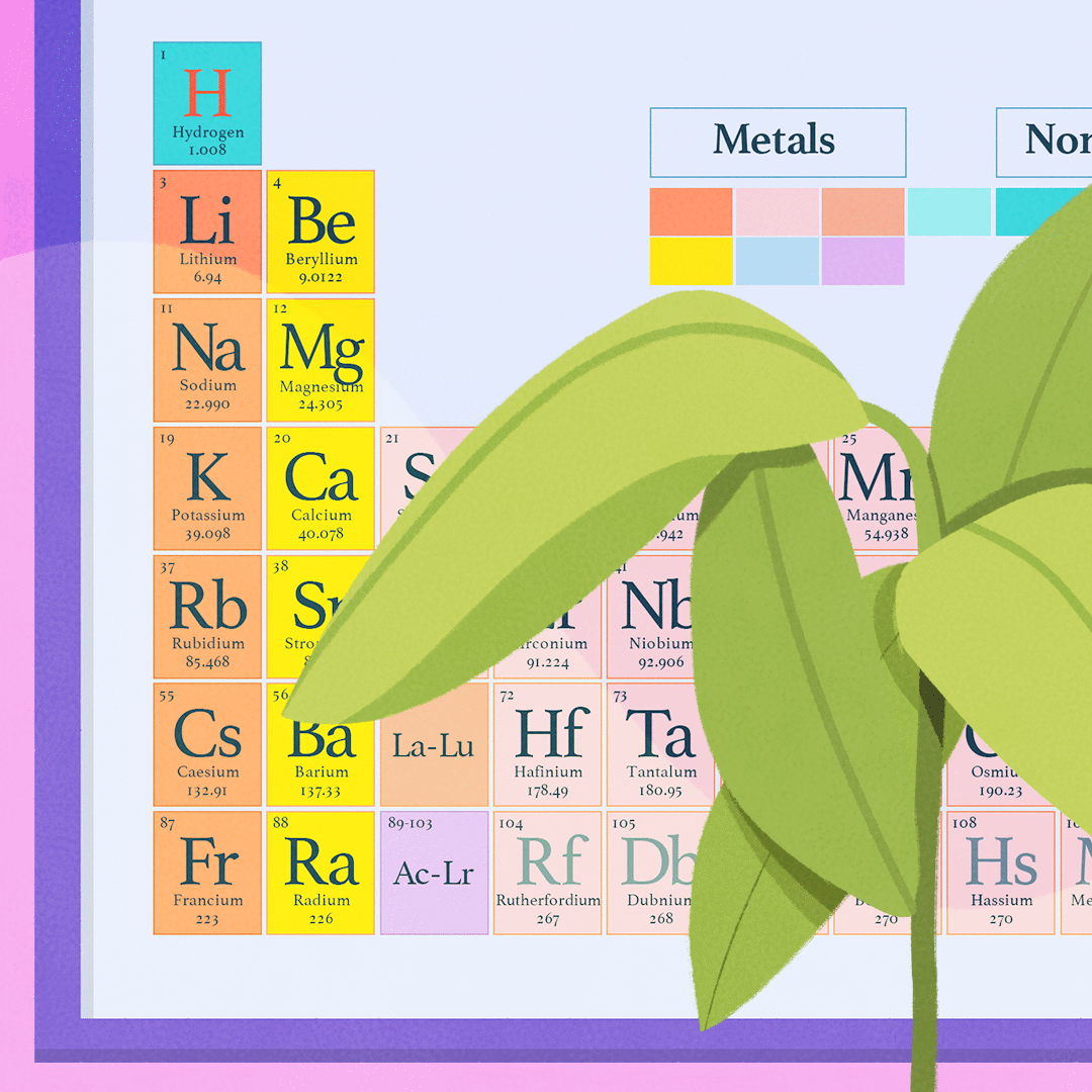 Elements and the Periodic Table | ClickView