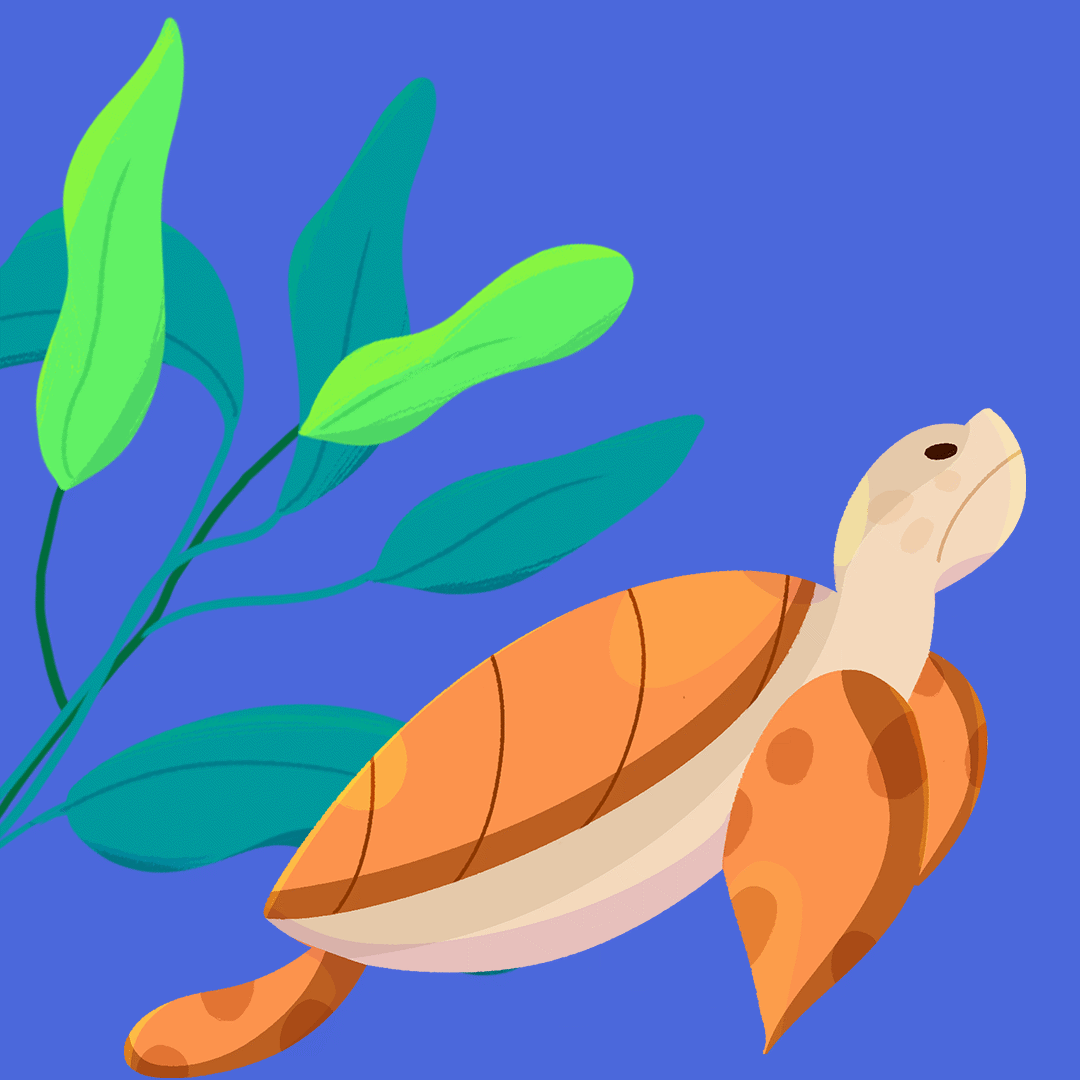 Explore Primary Subjects | ClickView | ClickView