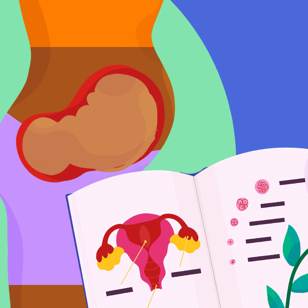 The Human Reproductive System | ClickView