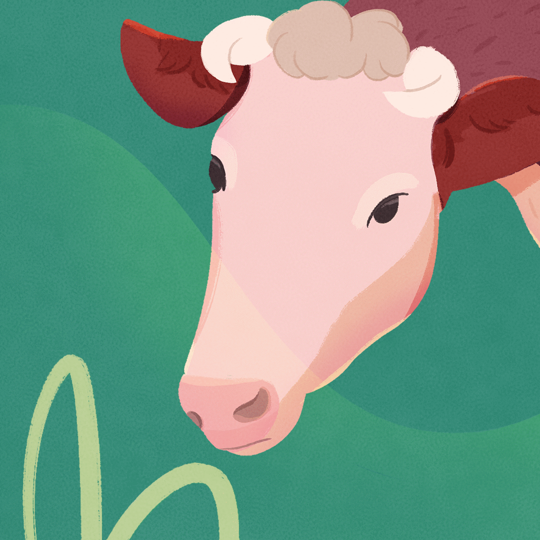 Paddock to Plate Videos, Resources & Worksheets | ClickView