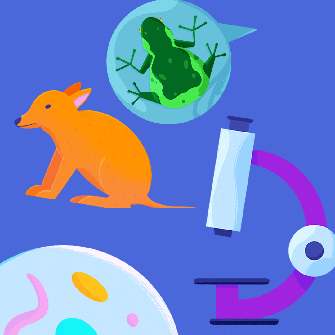 Classification Videos, Resources & Worksheets | ClickView