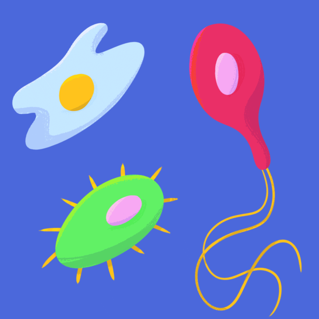 Evolution and Inheritance | ClickView