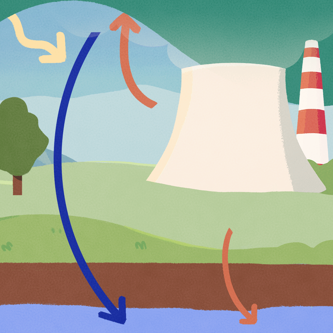 Biogeochemical Cycles | ClickView