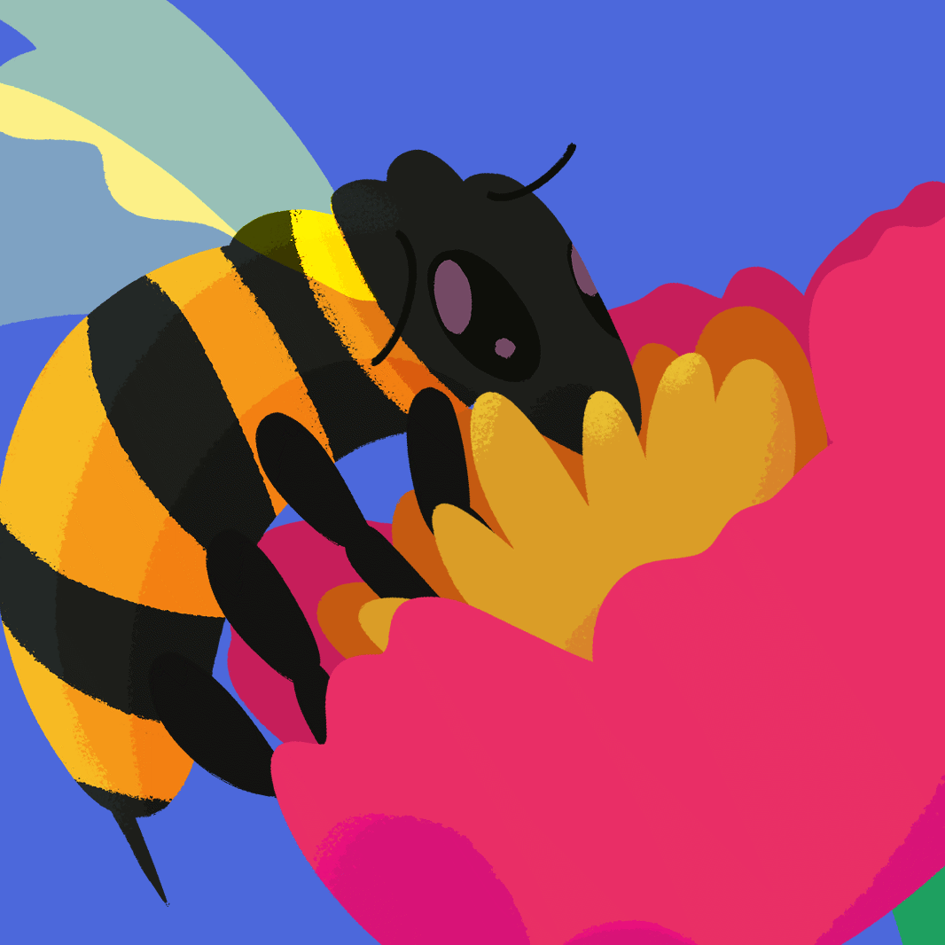 Bees Videos, Resources & Worksheets | ClickView