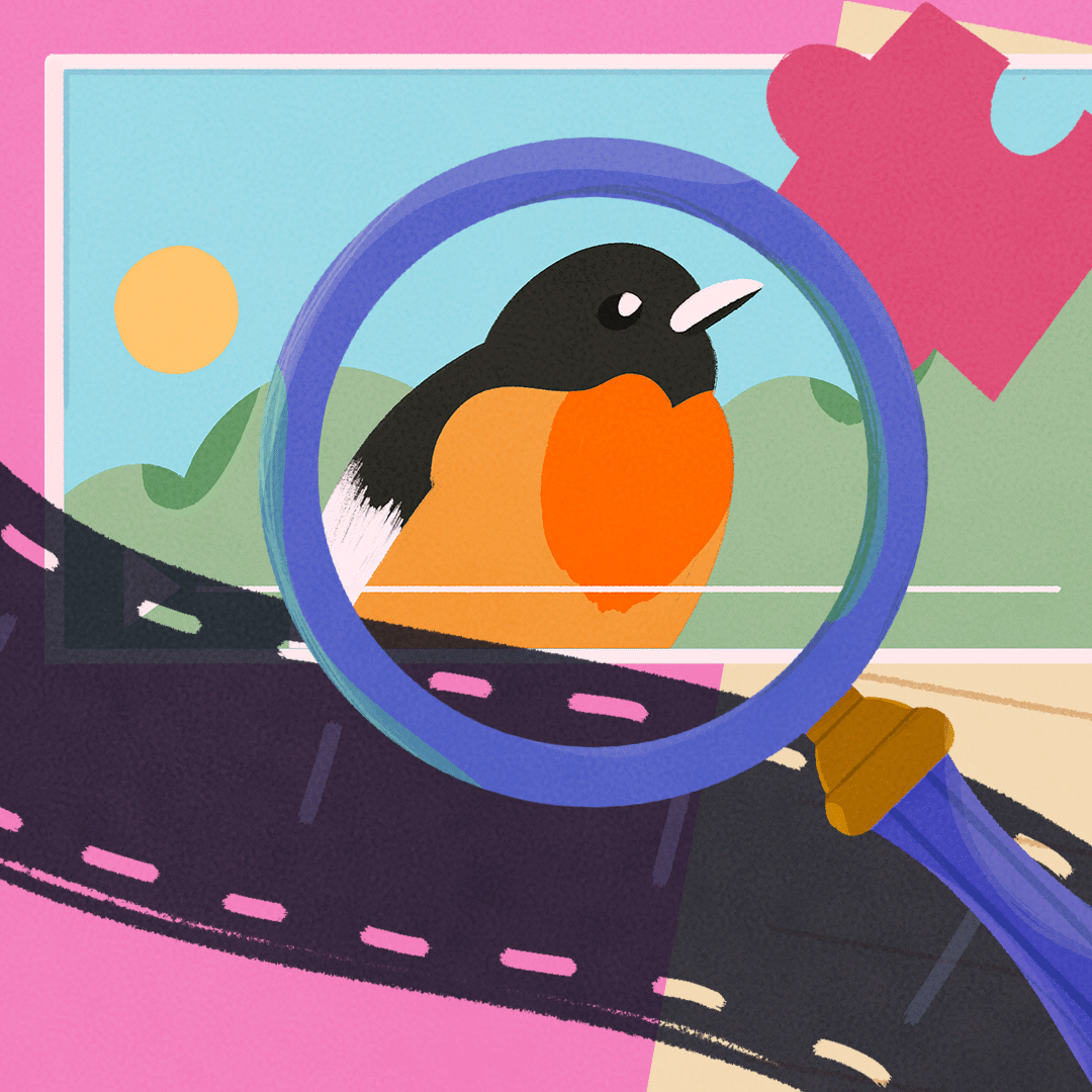 Film and Documentary Analysis | ClickView