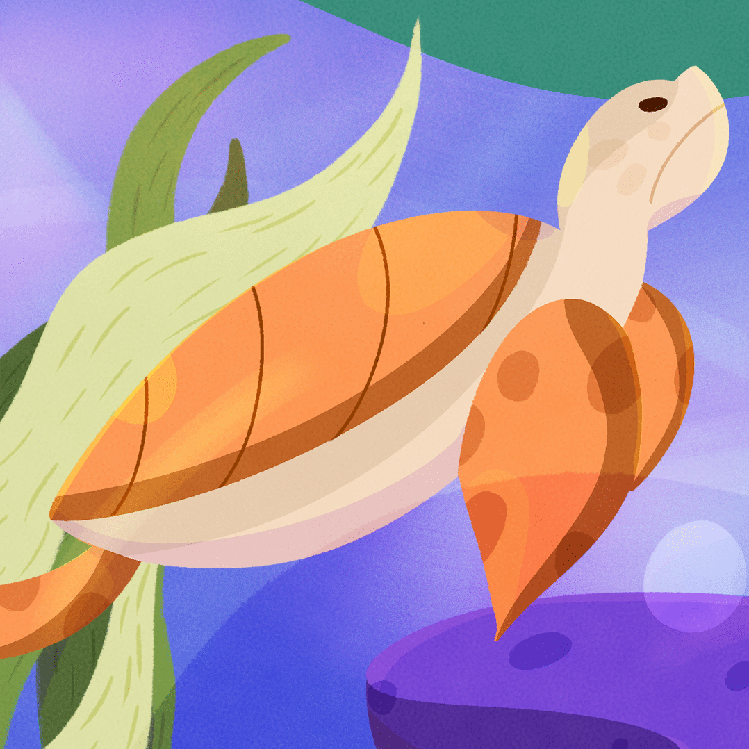 World Ocean Day Videos, Resources & Worksheets | ClickView