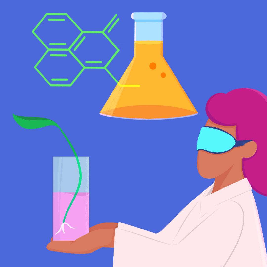 Working Scientifically | ClickView