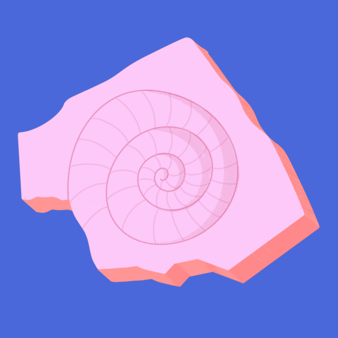 Fossils Videos, Resources & Worksheets | ClickView