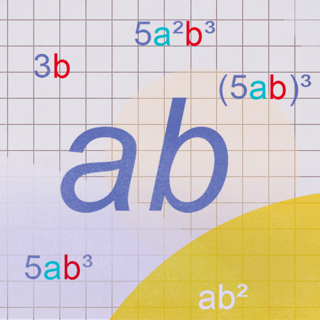 Algebraic Notation and Operations | ClickView
