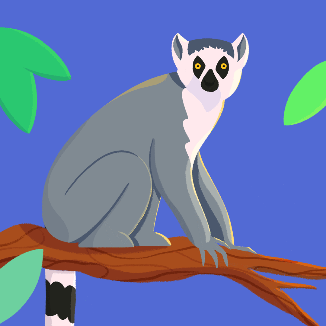 Endangered Species Day | ClickView