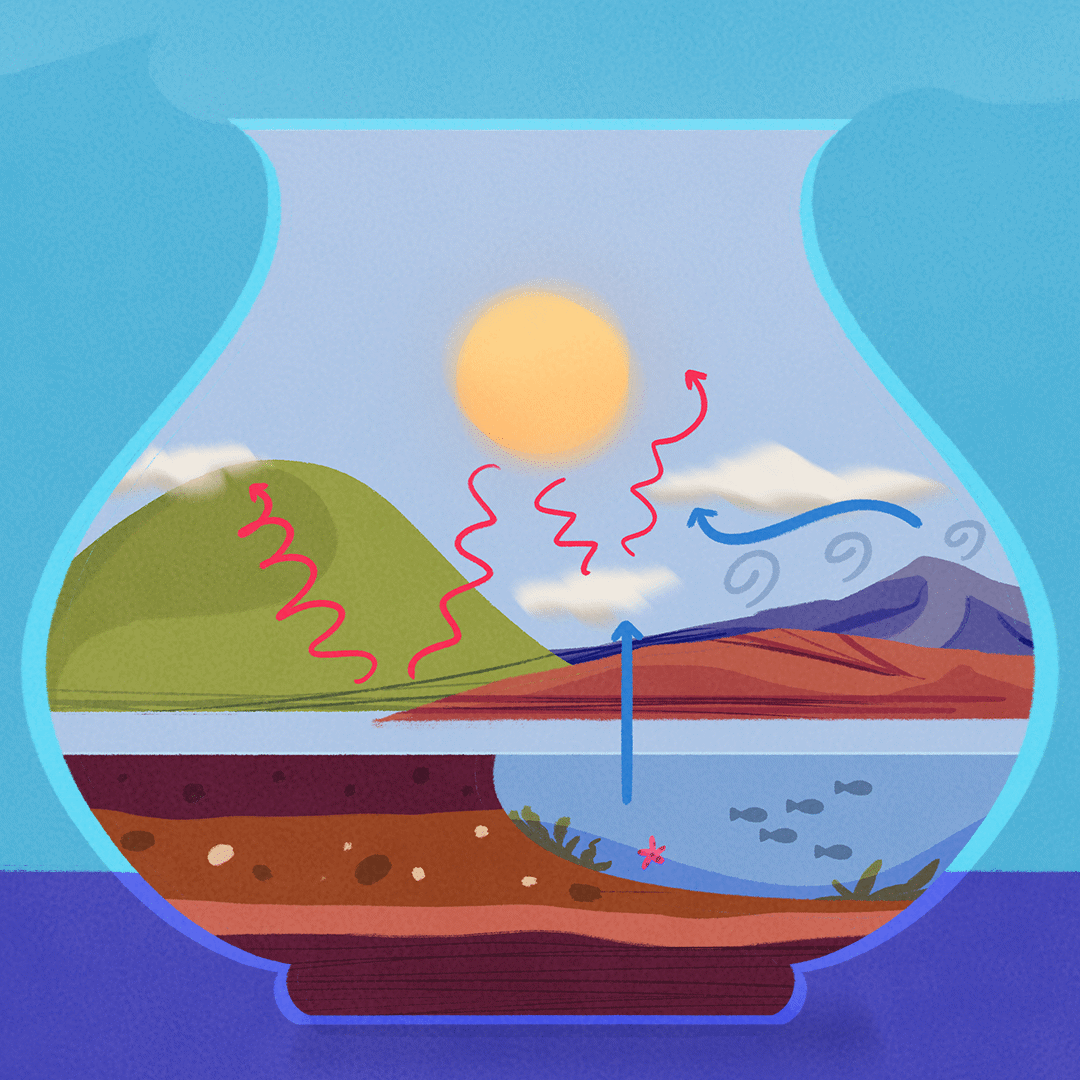 Ecosystem Energy and Health | ClickView