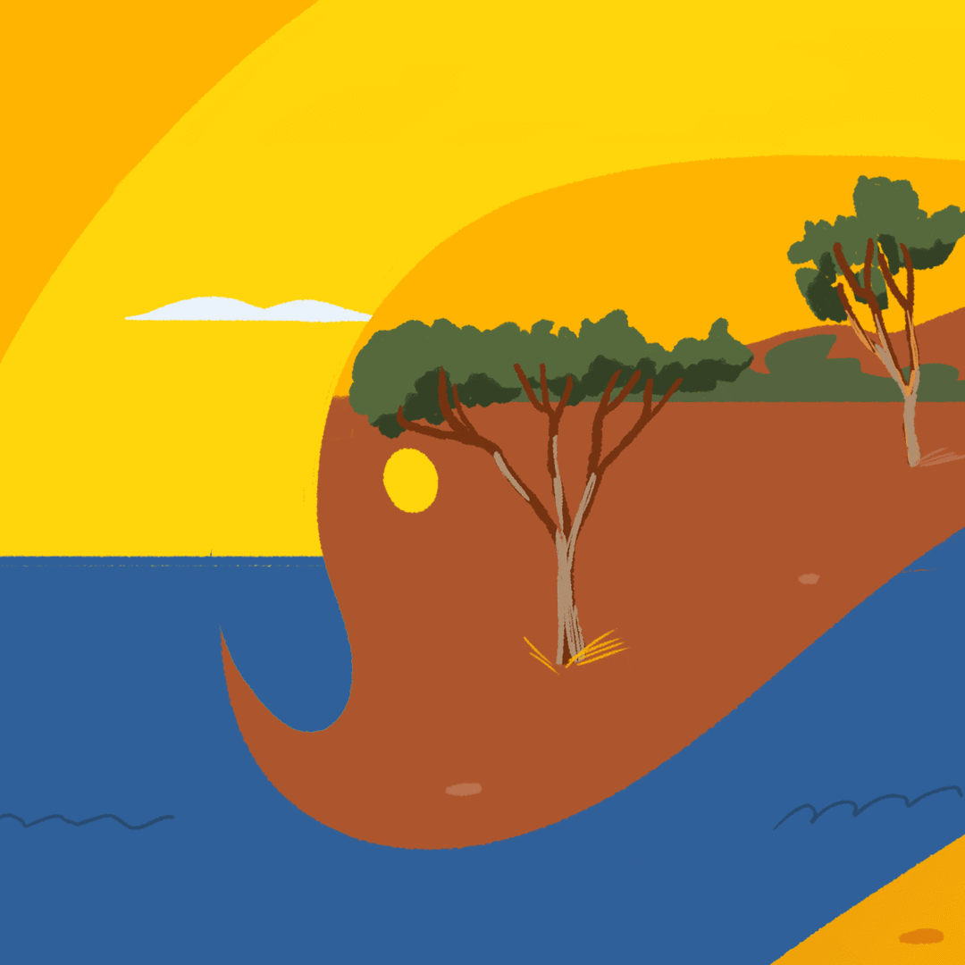 First Nations Connection to Country and Place | ClickView