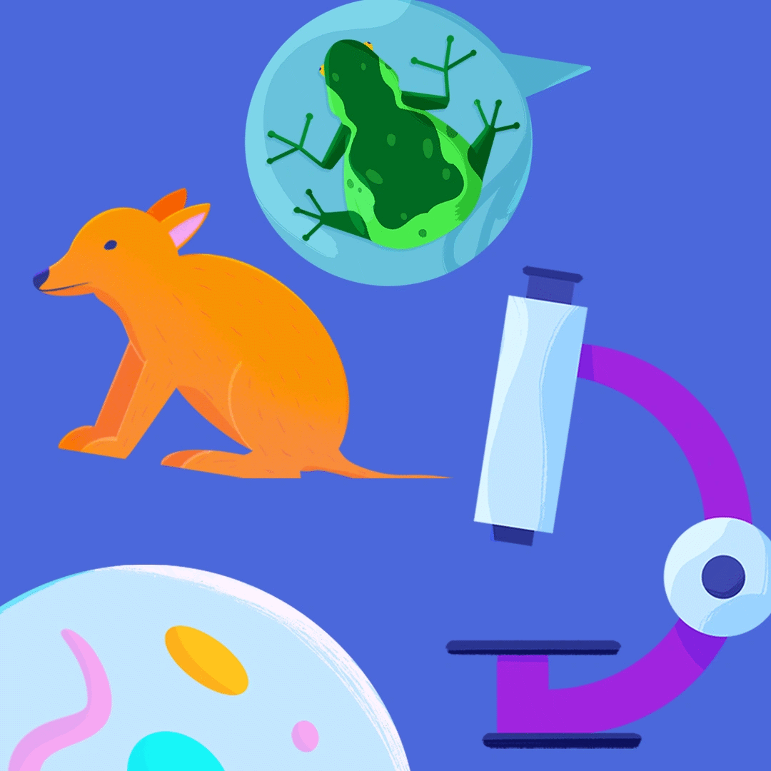 Classification Videos, Resources & Worksheets | ClickView