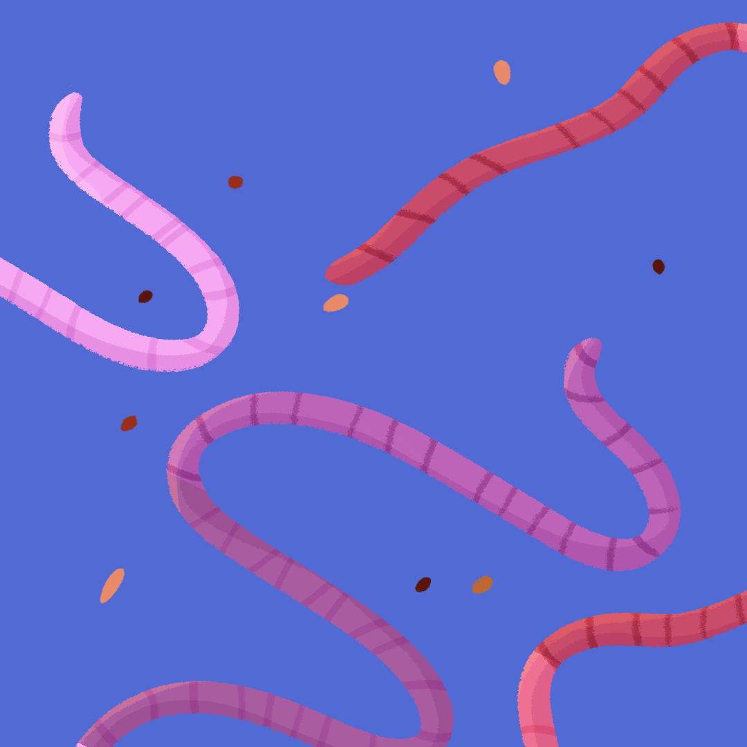 Worms Videos, Resources & Worksheets | ClickView