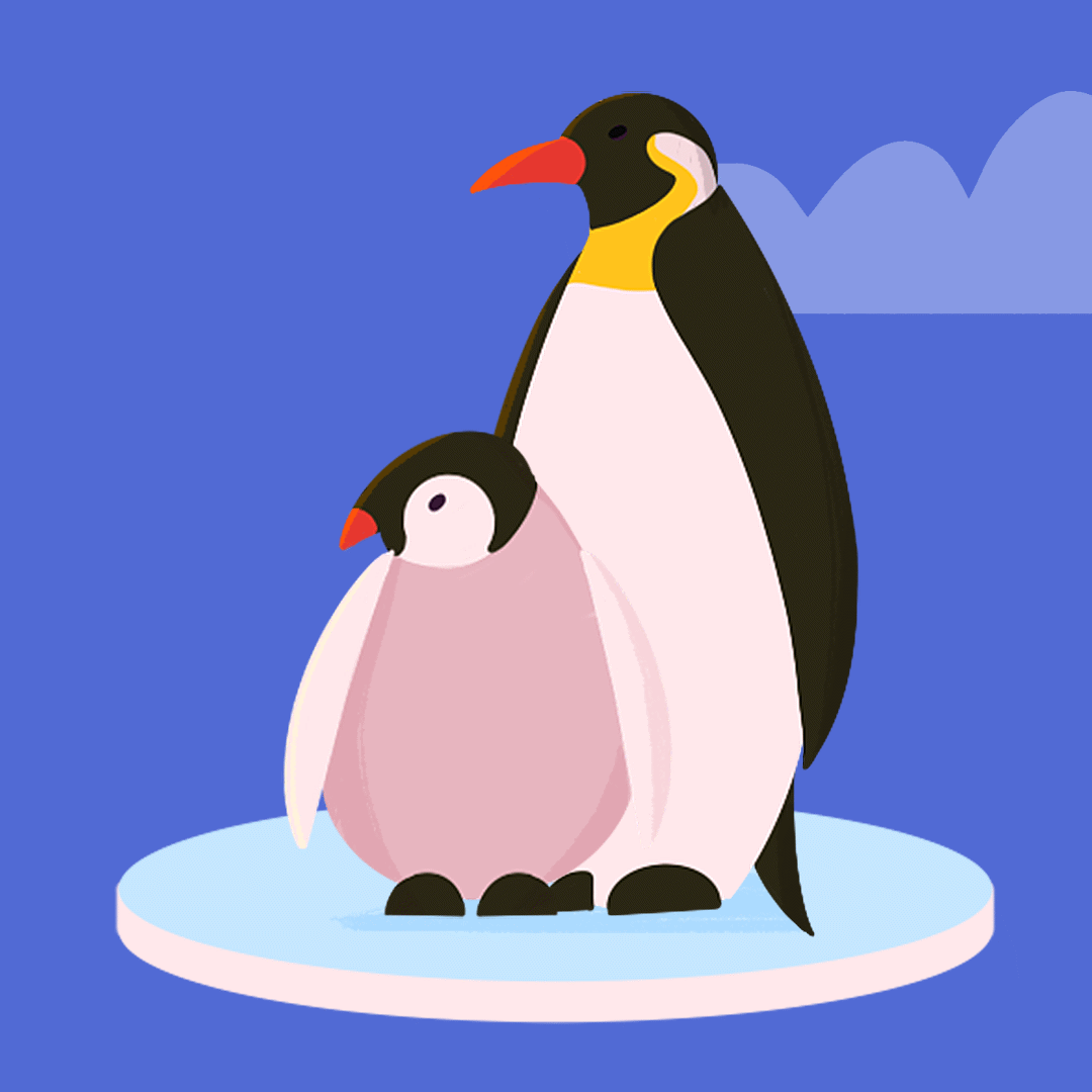 Penguin Awareness Day | ClickView