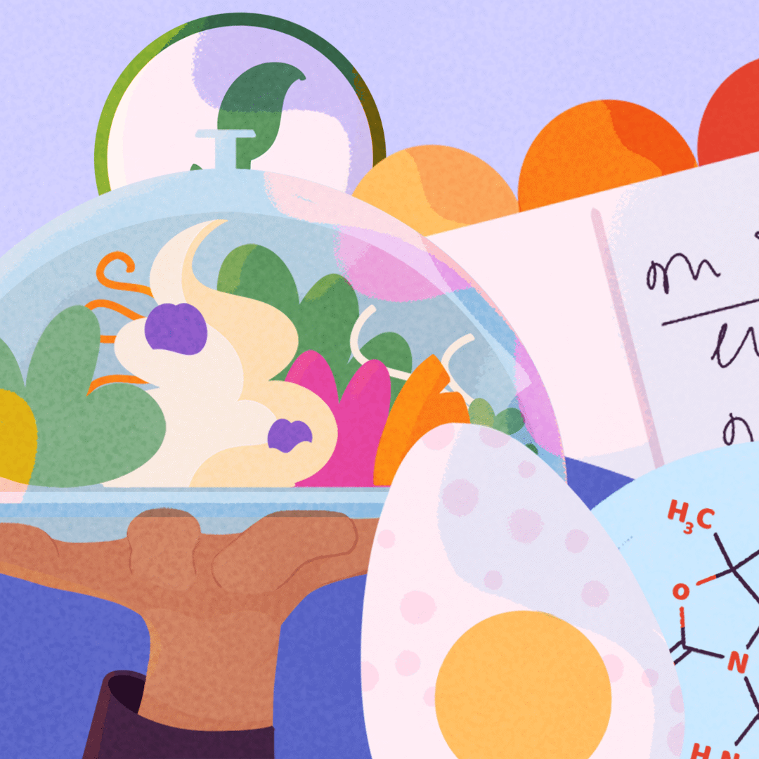 Food Technology Videos, Resources & Worksheets | ClickView