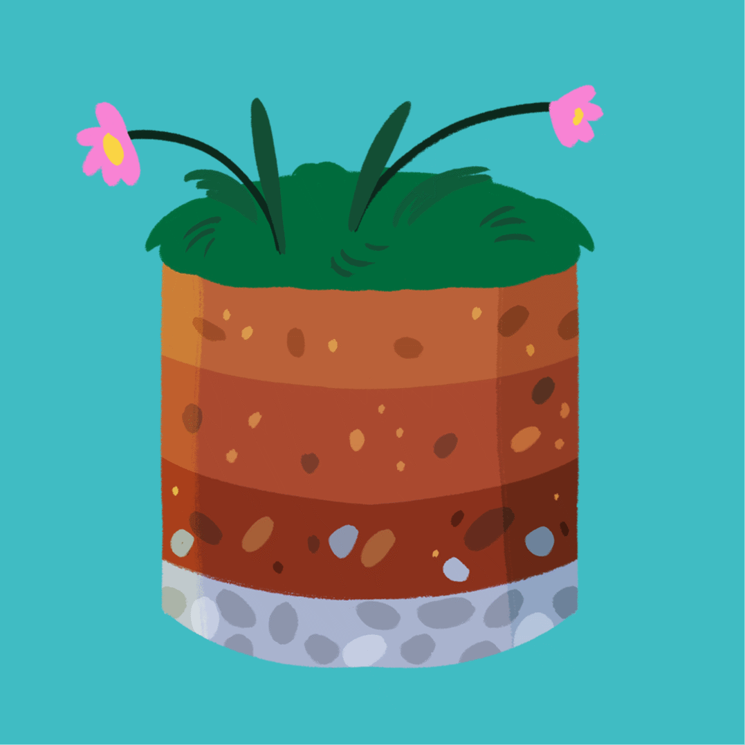 Soil Videos, Resources & Worksheets | ClickView