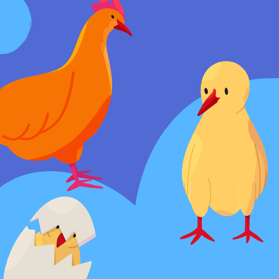 Animal Growth and Development | ClickView