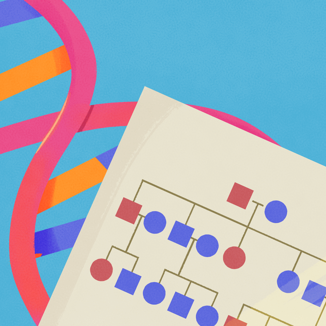 Genes and Heredity Videos, Resources & Worksheets | ClickView