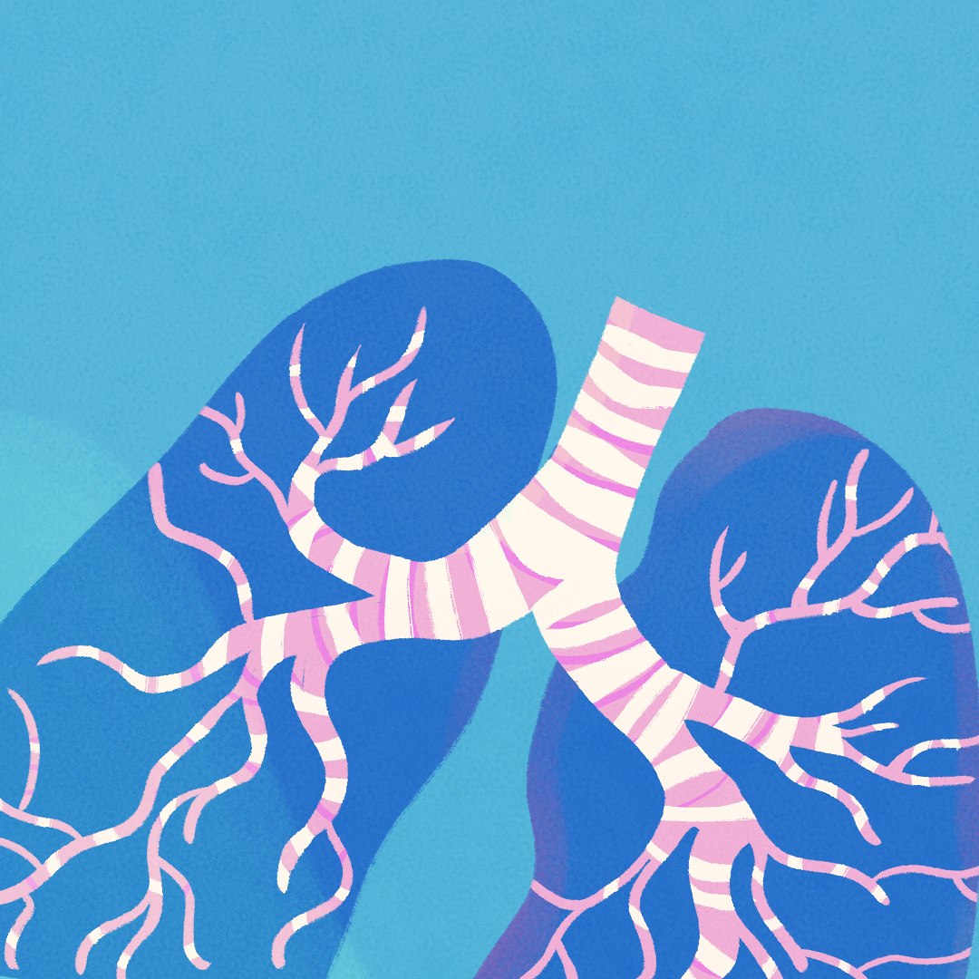 The Respiratory System | ClickView