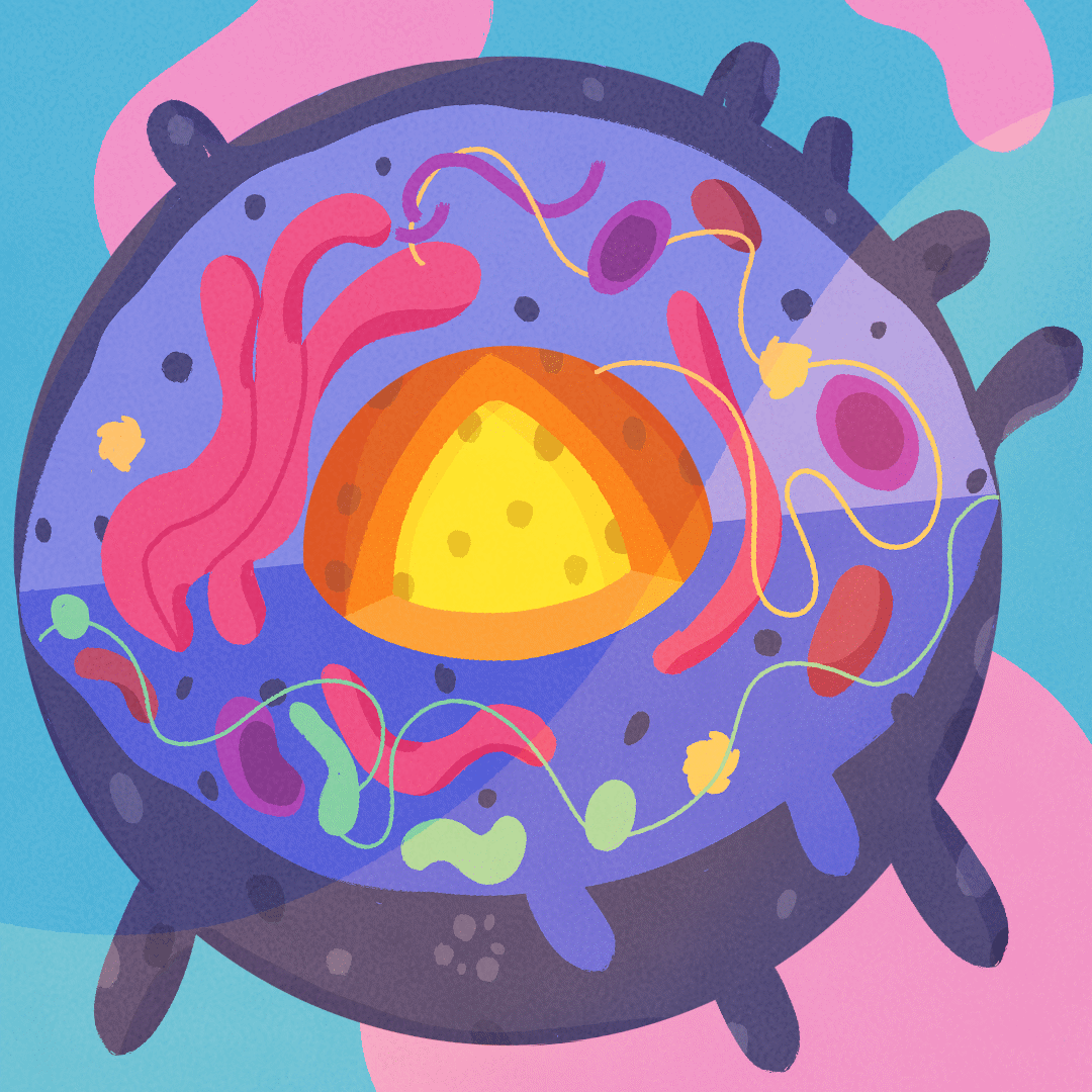 Cellular Structure and Function | ClickView