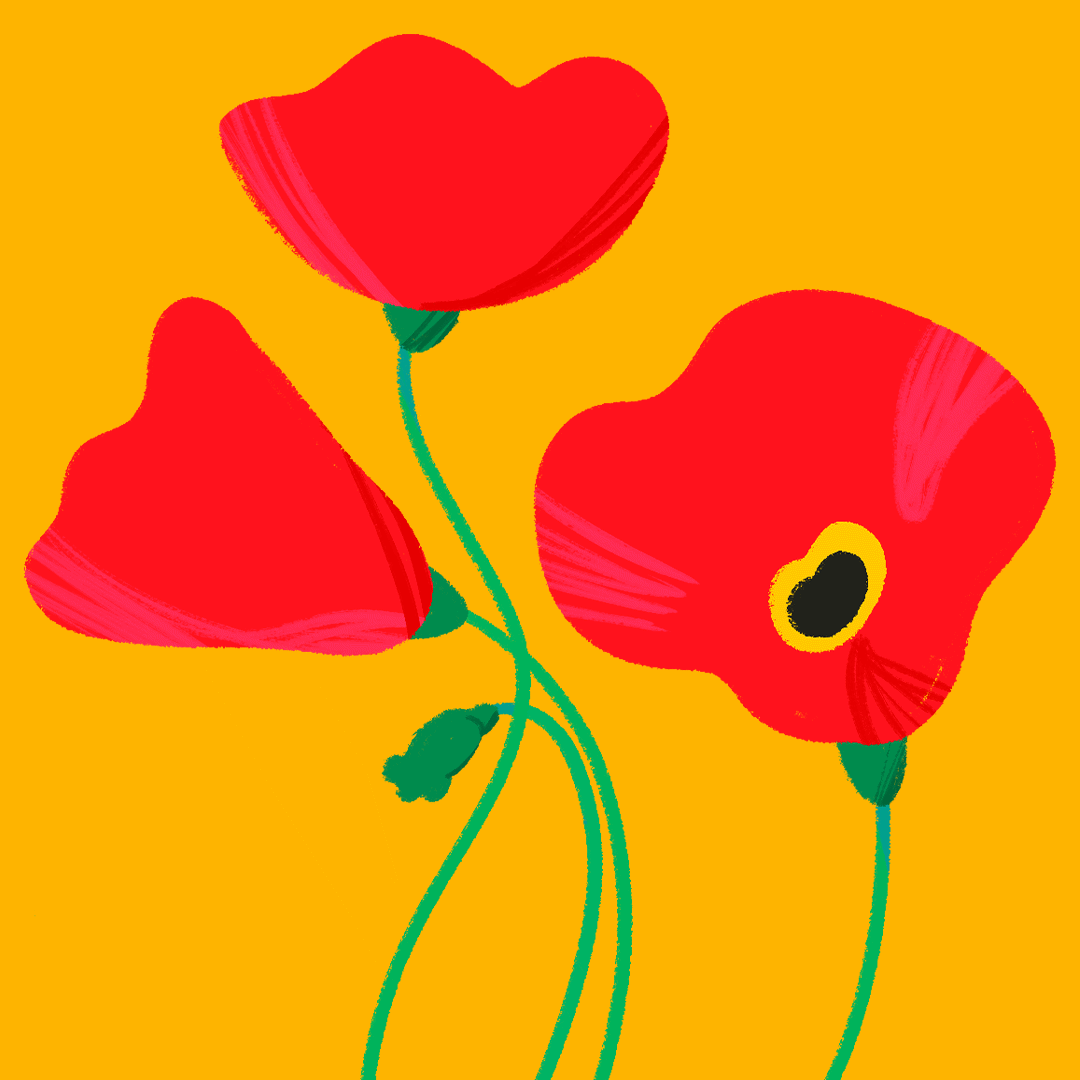 Remembrance Sunday Videos, Resources & Worksheets | ClickView