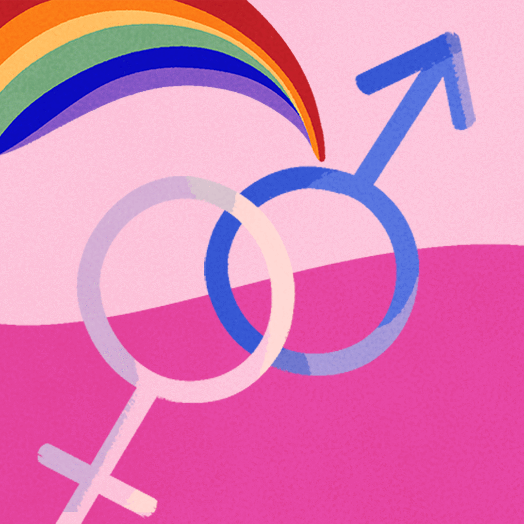 Gender and Sexuality | ClickView