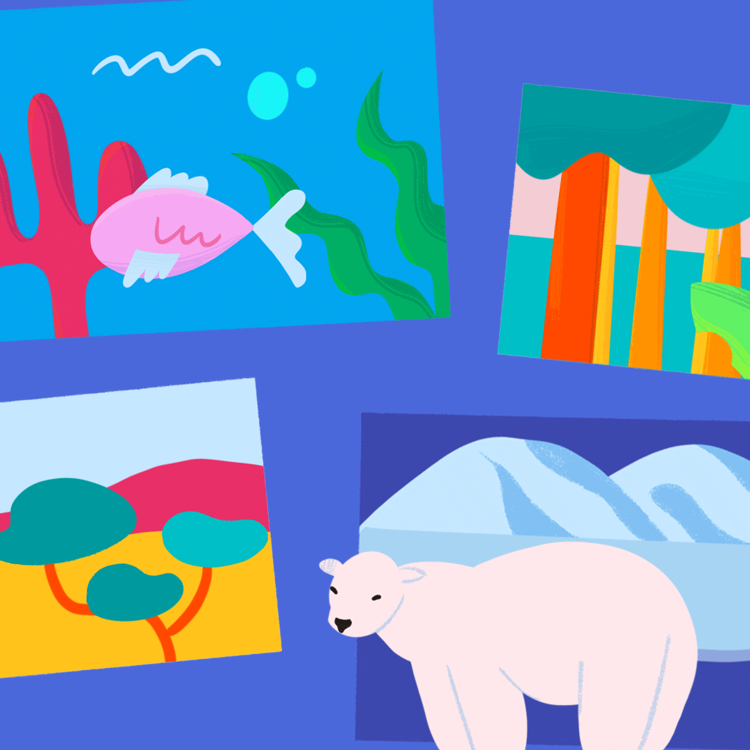 Adaptations Videos, Resources & Worksheets | ClickView