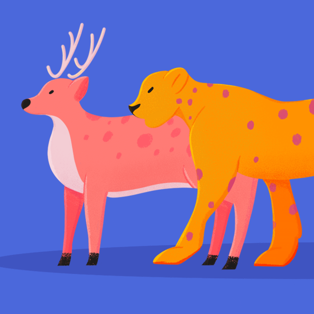 Classifying Animals | ClickView