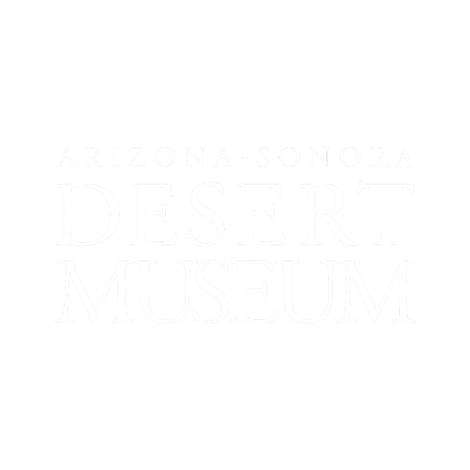 Live Video Field Trips | Streamable Learning